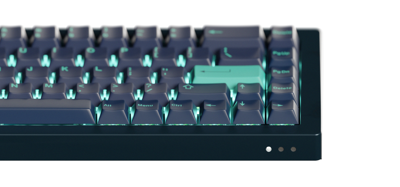 65% Mechanical Keyboard. MEGA by Keebwerk. - 199$